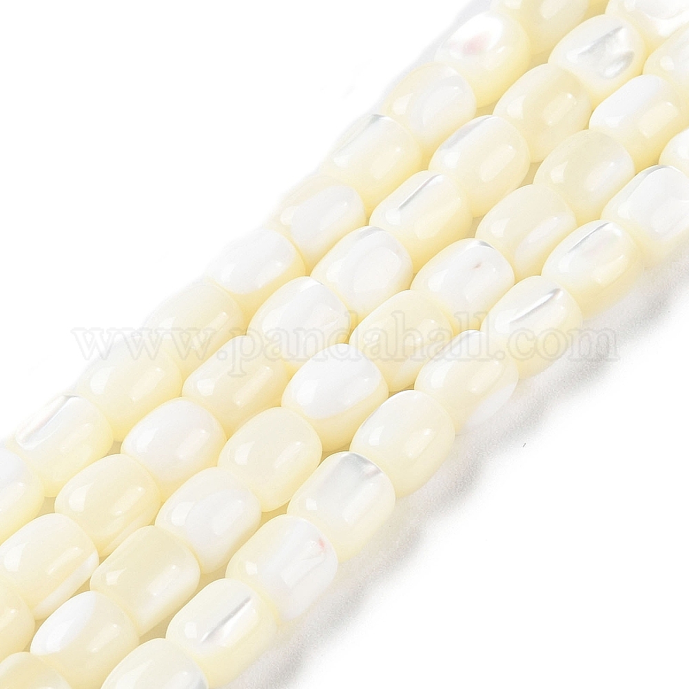 Wholesale Natural Trochus Shell Beads Strands - Pandahall.com