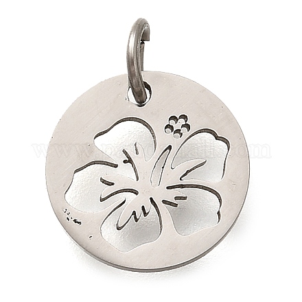 Wholesale 304 Stainless Steel Charms - Pandahall.com