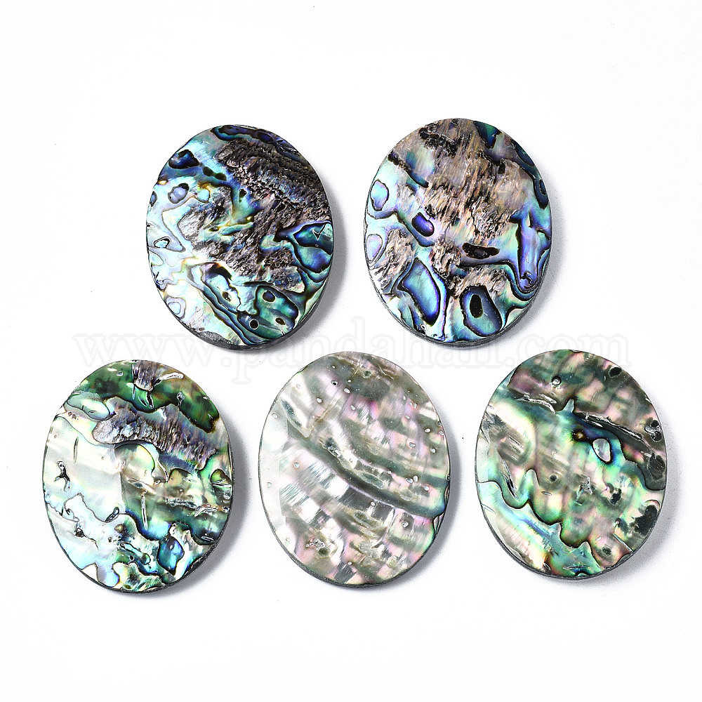 Wholesale Natural Abalone Shell/Paua Shell Cabochons - Pandahall.com