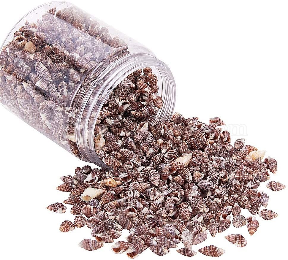 Wholesale Sea Shell Beads - Pandahall.com