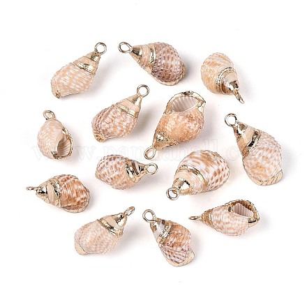 Wholesale Electroplate Natural Sea Shell Pendants - Pandahall.com
